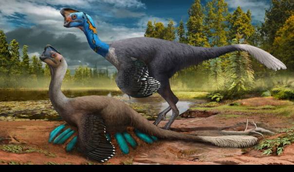 Oh, Ternyata Begini Caranya Dinosaurus Berhubungan Seks...