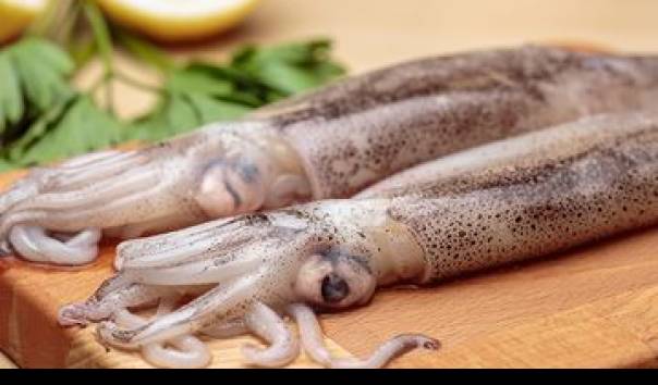 5 Manfaat Cumi-Cumi bagi Kesehatan, Tingkatkan Imunitas hingga Sumber ...