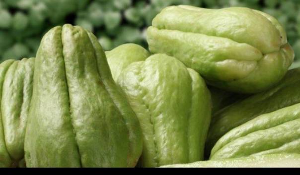 5 Manfaat Labu Siam, Bantu Jaga Kesehatan Jantung hingga Kendalikan ...