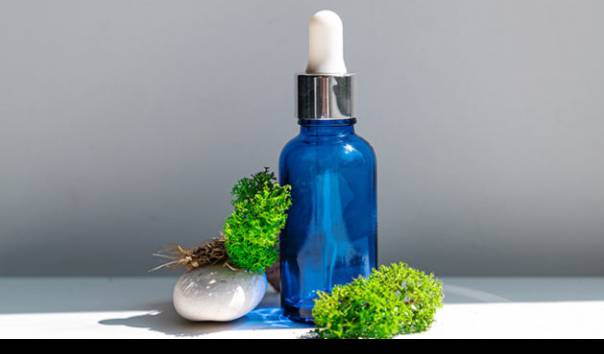 Tak Banyak Diketahui, Ini Beragam Manfaat Lumut Laut untuk Kesehatan