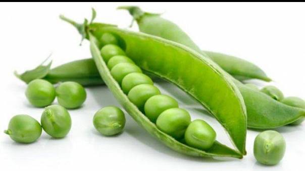 Rebusan Kacang Polong Bantu Turunkan Gula Darah, Ini Manfaat Lainnya