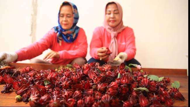 Mengenal SIBA Center, Sentra UMKM Binaan PT Bukit Asam di Tanjung Enim