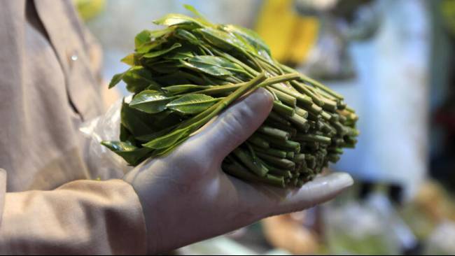 Arab Saudi Umumkan Sita 30 Ton Khat, Daun Memabukkan yang Tergolong ...