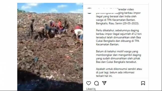 Viral Warga Riau Rebutan Daging Buangan Bea Cukai di TPA, Ini Penjelasannya