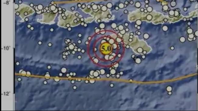 Gempa Magnitudo 5,0 Kedalaman 10 Km Guncang Sumba Barat Daya, Tidak Berpotensi Tsunami