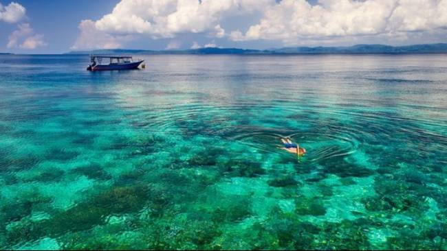 Sejarah Hari Laut Sedunia 2023 Diperingati 8 Juni Ini Tema Twibbon