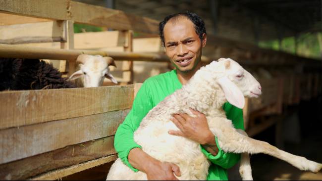 Ibadah Kurban Masih Bisa Sampai 2 Juli, Ini Daftar Harga Hewan Kurban di BAZNAS dan Dompet Dhuafa