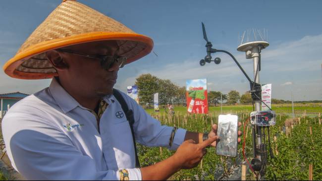 Program Petani Peneliti dan Pertanian Cerdas Iklim Tingkatkan ...