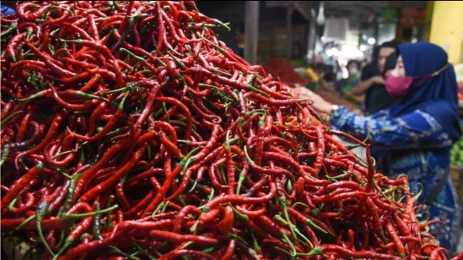 Harga Cabai Tembus Rp100.000/Kg, Mendag: Enggak Apa-Apa Mahal Sekali-Sekali