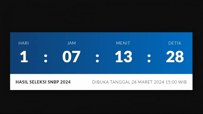 41 Link dan Cara Cek Pengumuman SNBP 2024, Hasilnya dapat Dilihat Besok Jam 15.00 WIB