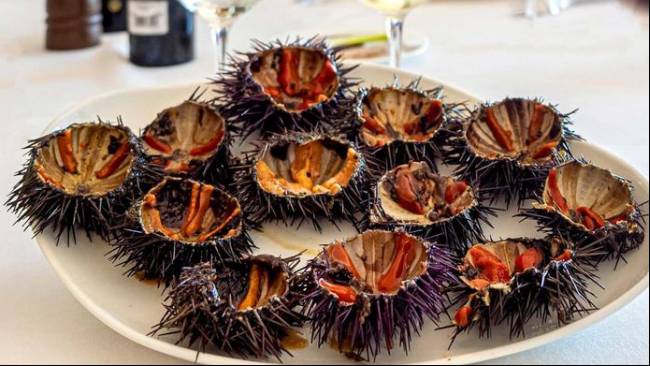 Hewan Laut Ini Tak Cuma Lezat, Intip 6 Manfaat Bulu Babi untuk Kesehatan