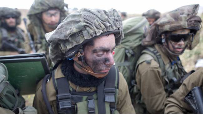 Militer Israel Lepaskan Anjing untuk Serang Tahanan Palestina, PBB Berang