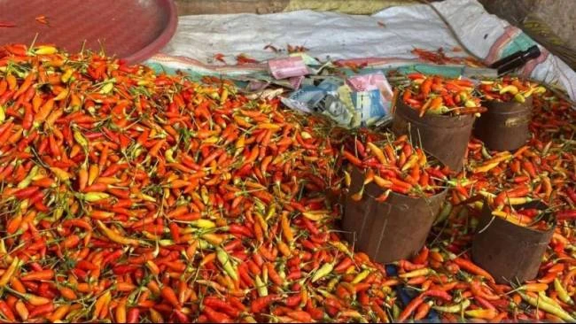 Harga Pangan Hari Ini 20 Mei 2026: Cabai Rawit Merah Melonjak hingga ...