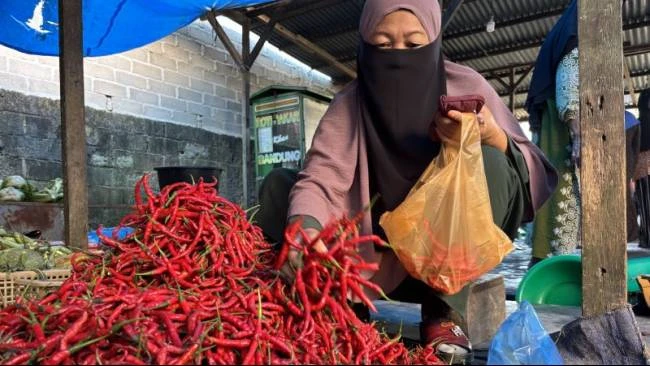 Harga Pangan Nasional 14 Mei 2026: Cabai Rawit Merah dan Bawang Masih ...